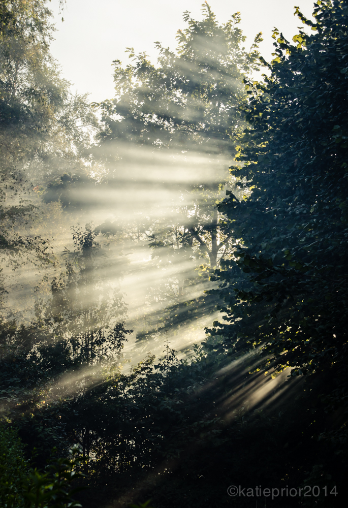 After-Before Friday Week 17 | Visual Venturing