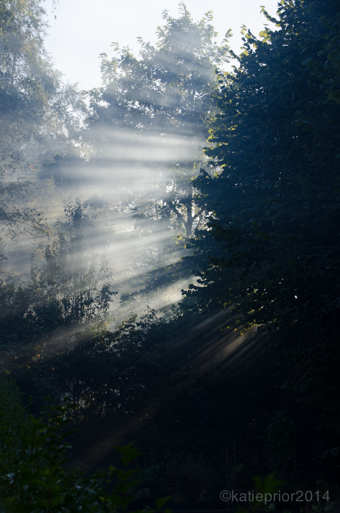 After-Before Friday Week 17 | Visual Venturing