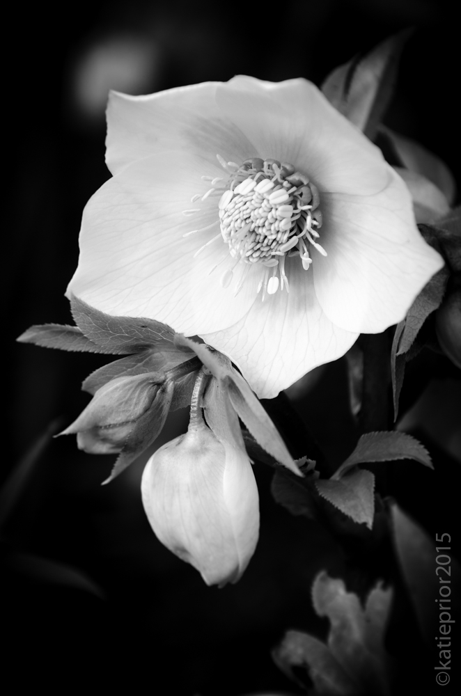 After-Before Friday Week 40 | Visual Venturing