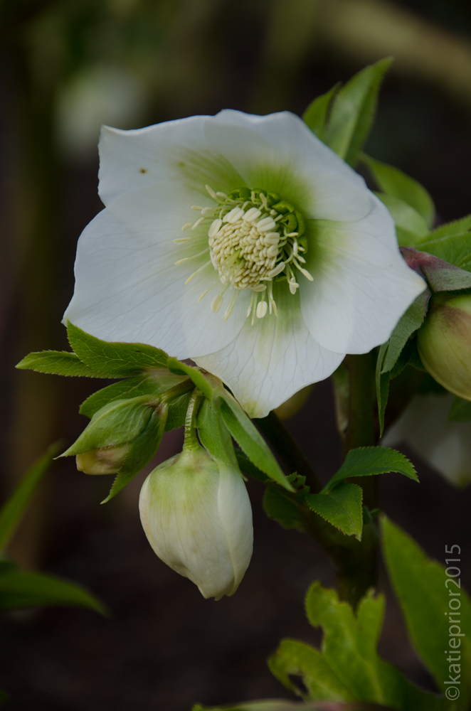 After-Before Friday Week 40 | Visual Venturing