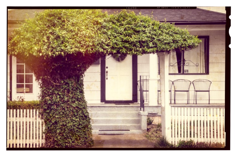 ABFriday Week 43: April One Photo Focus | Visual Venturing